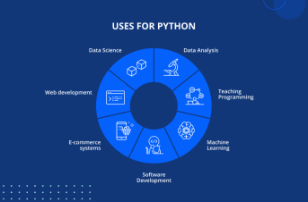 Hire Python Developers | 100% Remote Experts — JayDevs