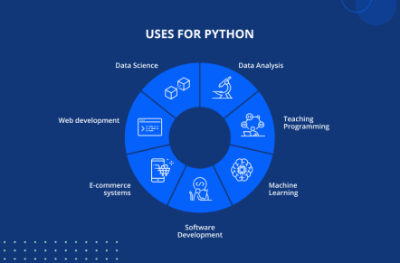 Hire Python Developers | 100% Remote Experts — JayDevs