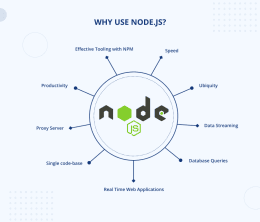 What is Node JS Used for in 2024 - Complete Guide - JayDevs
